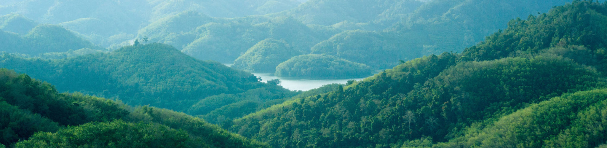 Sims Limited’s Sustainability Director Named one of the Most ...